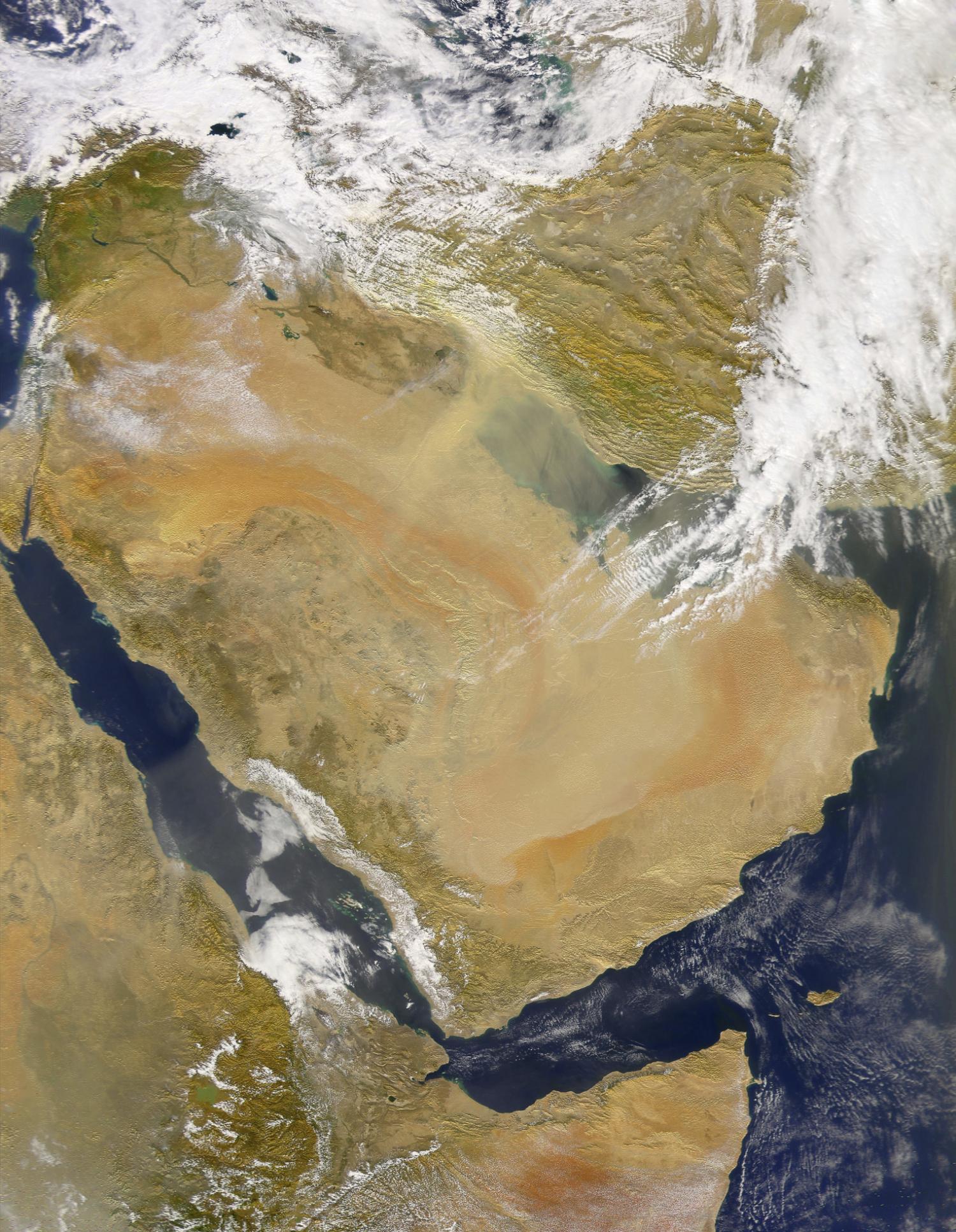 Global MERS count tops 100 with latest from Saudi Arabia | CIDRAP Global MERS count tops 100 with latest from Saudi Arabia | CIDRAP