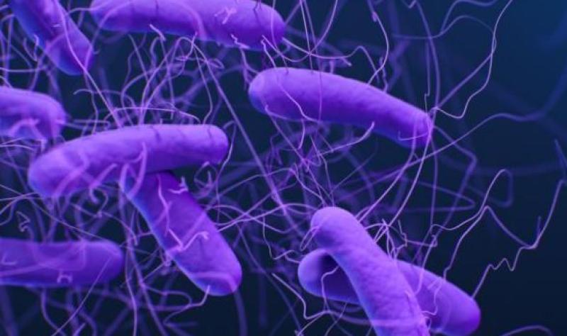 New guidance deems antibiotic stewardship essential for preventing C ...