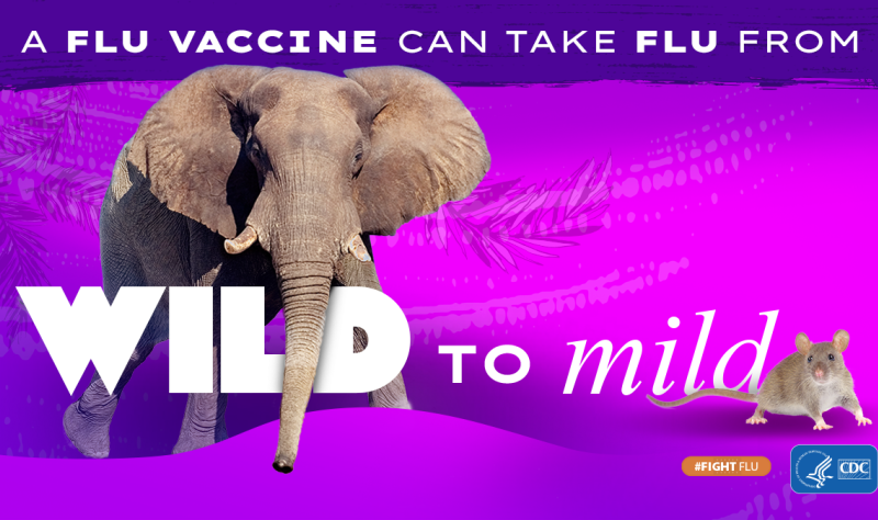 CDC launches ‘wild to mild’ flu vaccine campaign | CIDRAP CDC launches ‘wild to mild’ flu vaccine campaign | CIDRAP