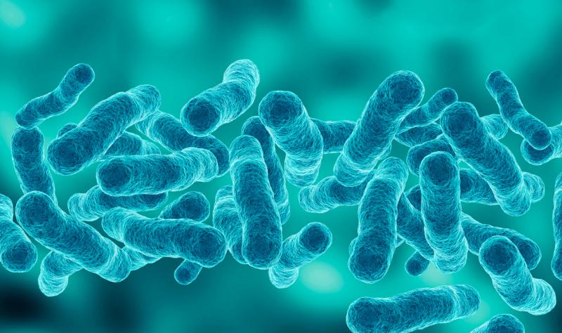 Legionellosis linked to organ donation in Pennsylvania, uptick in cases ...