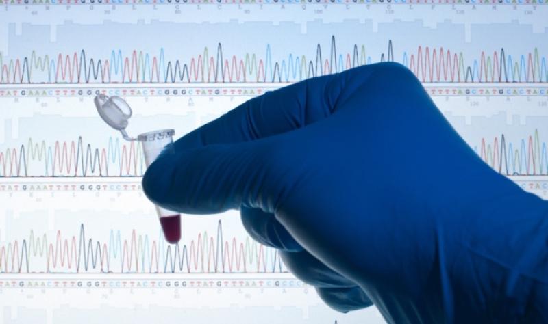 H7n9 Analyses Hint At Genetic Mutations Drug Resistance Cidrap