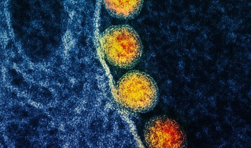 HHS extends public health emergency for COVID-19 | CIDRAP